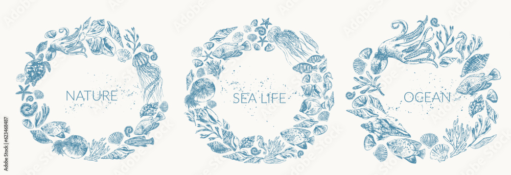 Ocean border frame for summer and beauty design. Stock Vector | Adobe Stock