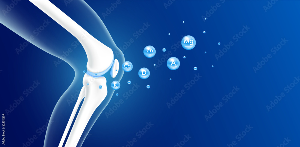 Vitamins minerals calcium zinc and magnesium absorbed into the bone ...