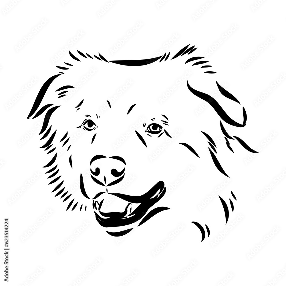 Vetor de Vector isolated one single Australian Shepherd dog head black ...