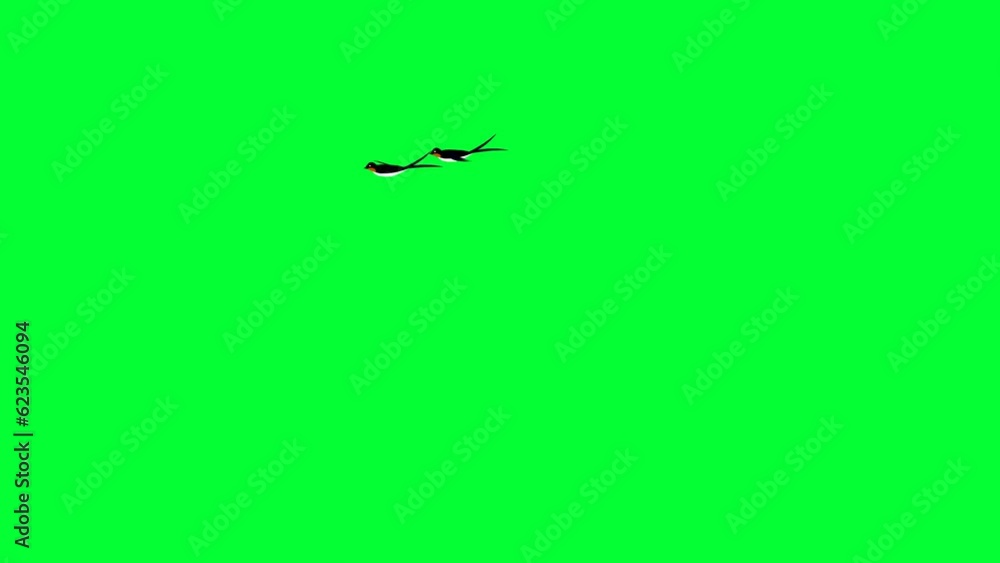 birds flying background and 2d animation, 4k, bird, wildlife flying ...
