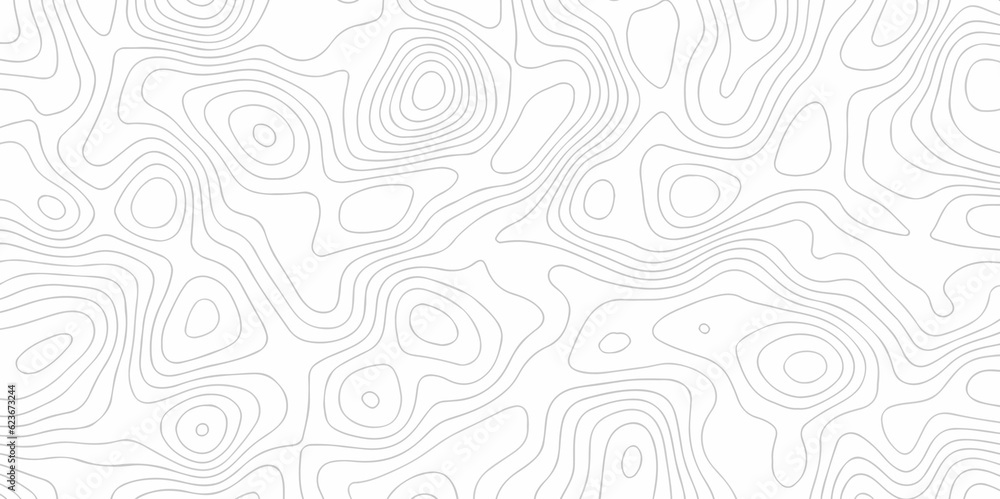 Seamless pattern with White sea map and topographic contours map ...