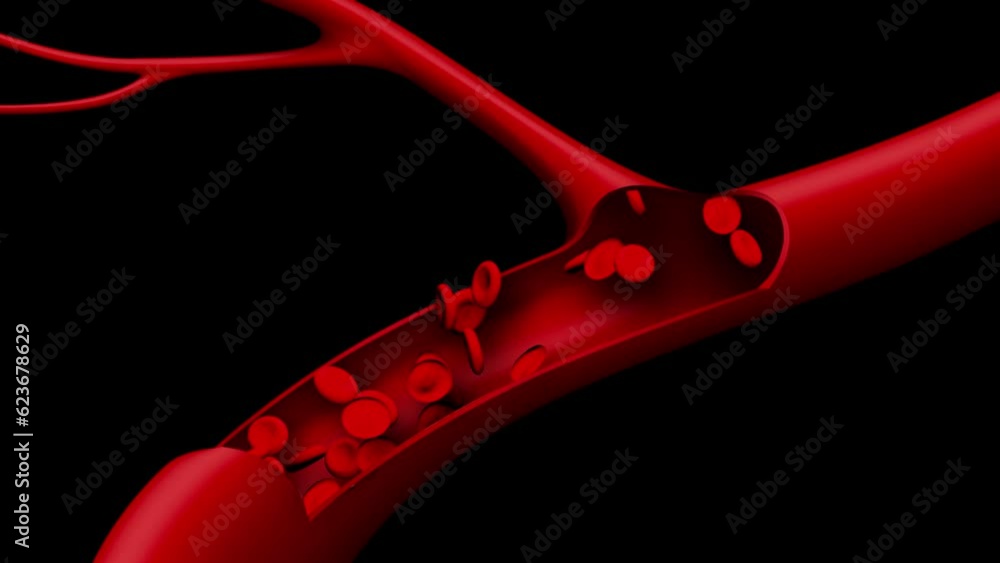 Stockvideon Dynamic Blood Cells in Motion. Blood Cells animation. blood ...