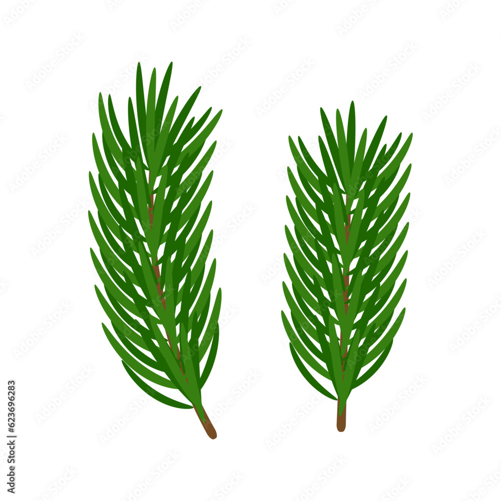 Icon set of green sprigs of a Christmas tree in warm colors isolated on ...