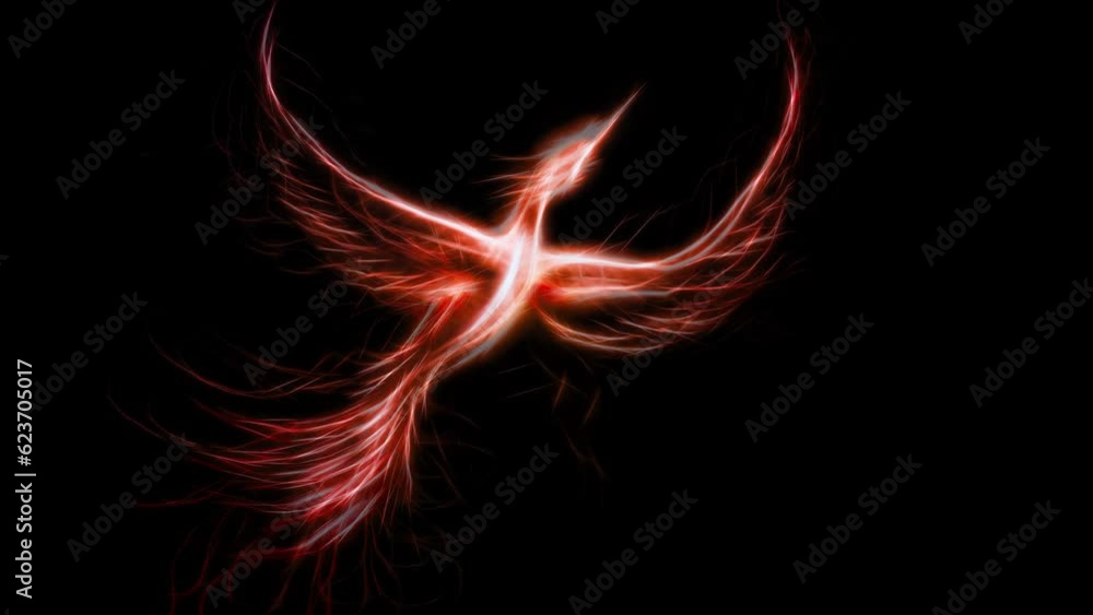 Flying phoenix bird as symbol of rebirth and new beginning. Loop ...