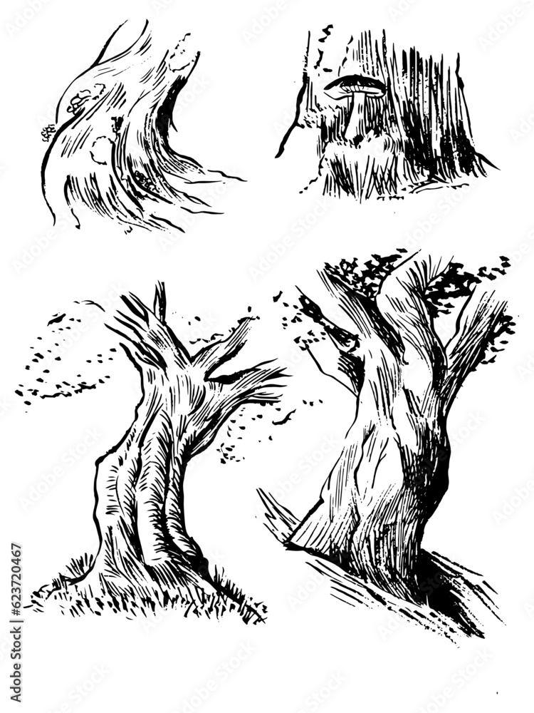 Tree Roots ink illustrations set. Big trunk of tropical trees. Vector ...