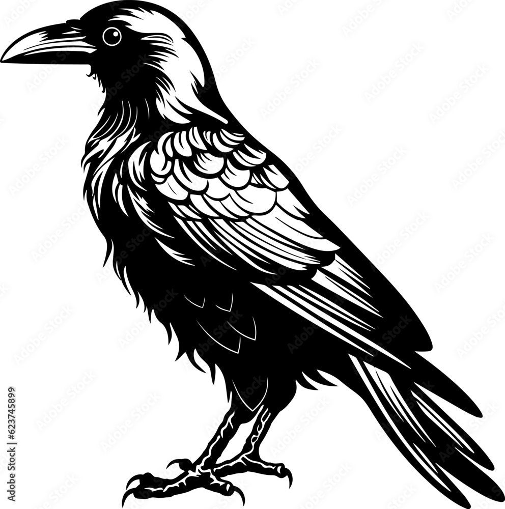 Black and white illustration of a raven. Stock Vector | Adobe Stock