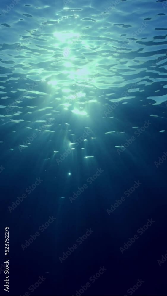 Vertical video, Underwater sunbeams, slow motion. Underwater sun rays ...