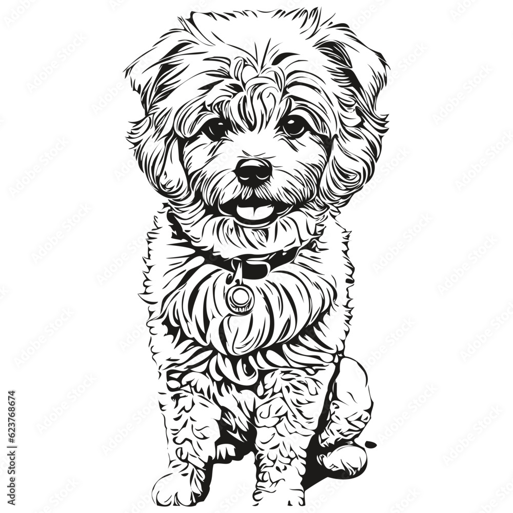 Bichons Frise dog breed line drawing, clip art animal hand drawing ...