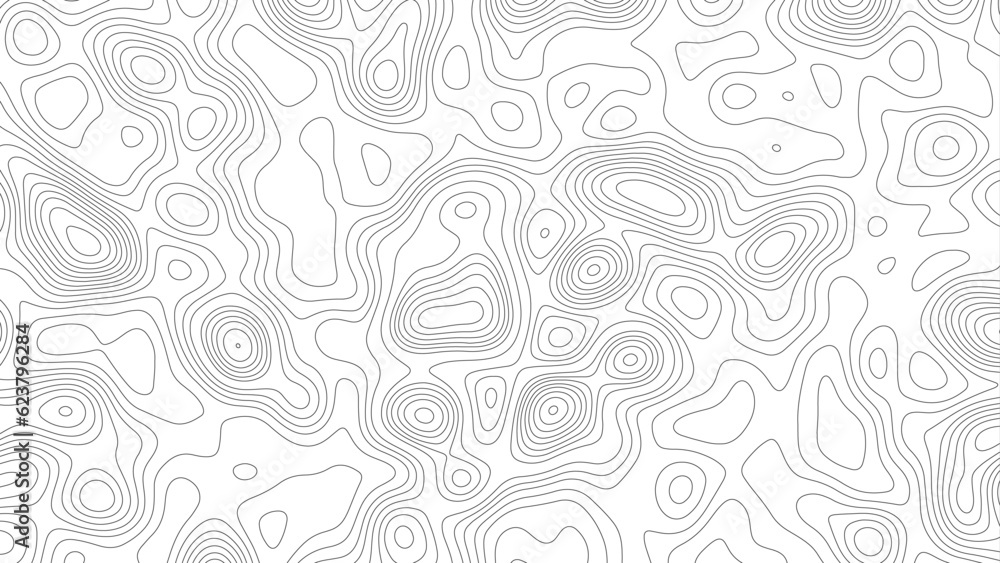 Abstract white topography vector background. Line topography map design ...