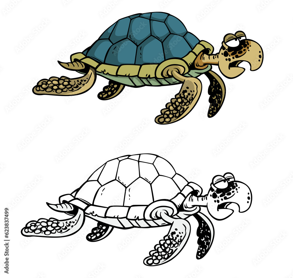 cartoon sea turtle outline and coloring on a transparent background ...