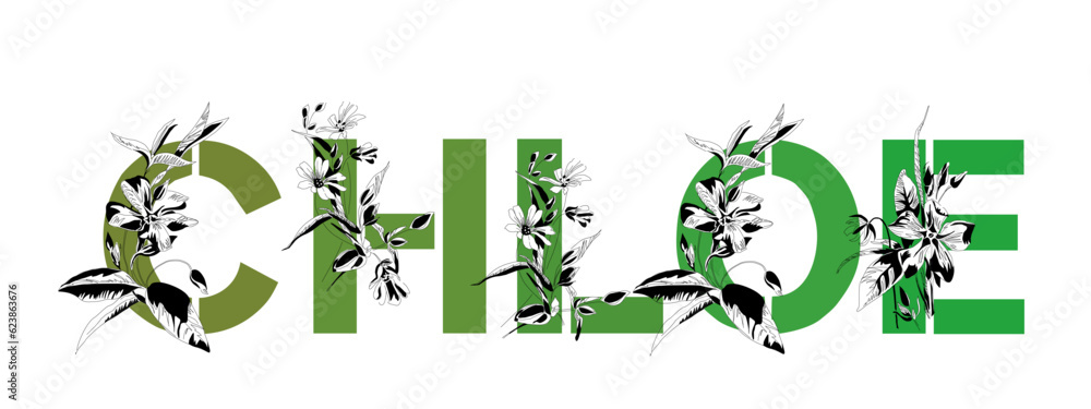 Woman's name Chloe. Font composition named CHLOE. Decorative floral ...