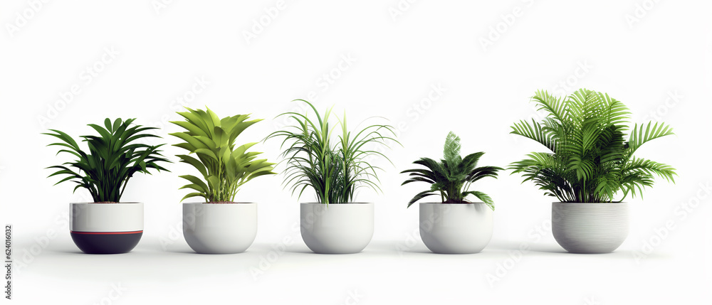 Pot plant set different potted plants in ceramic pots. Home potted ...