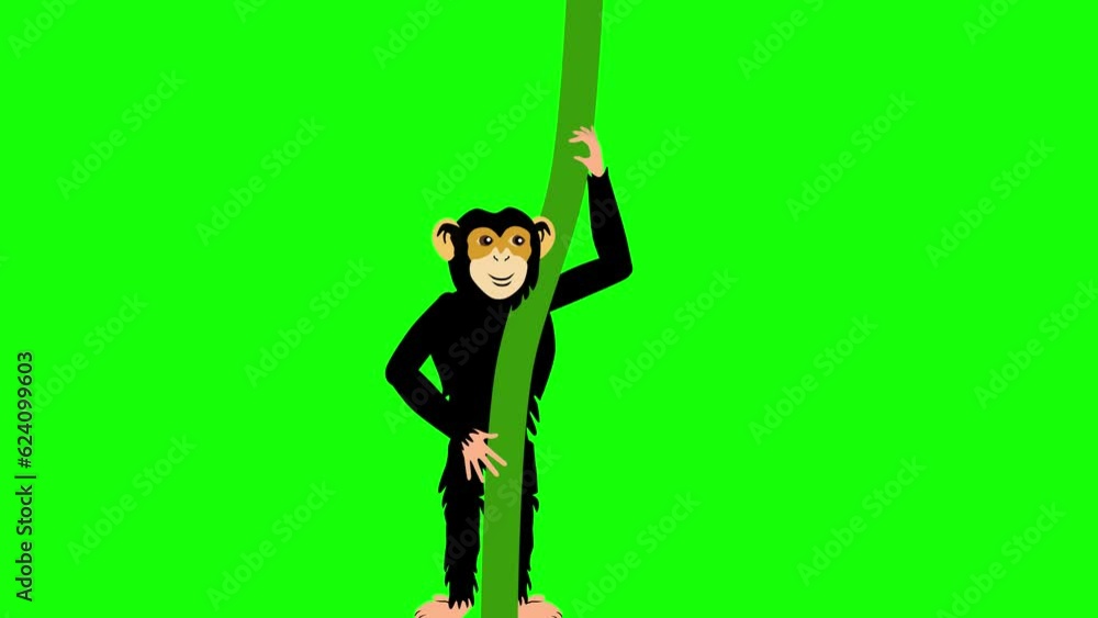 Chimpanzee ape 2d animation cartoon hanging on lian green screen Stock ...