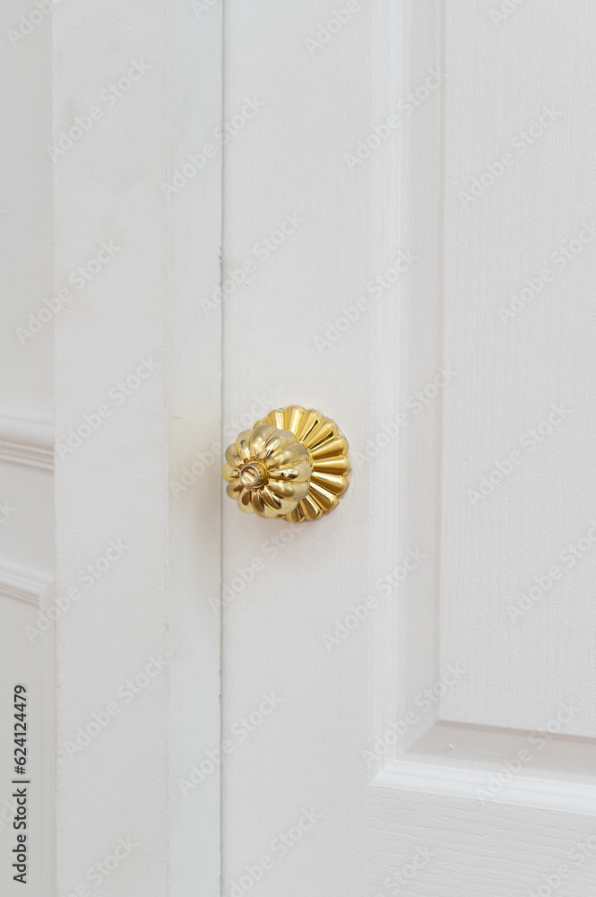 gold door knob handle. reflective surface and modern design add touch ...