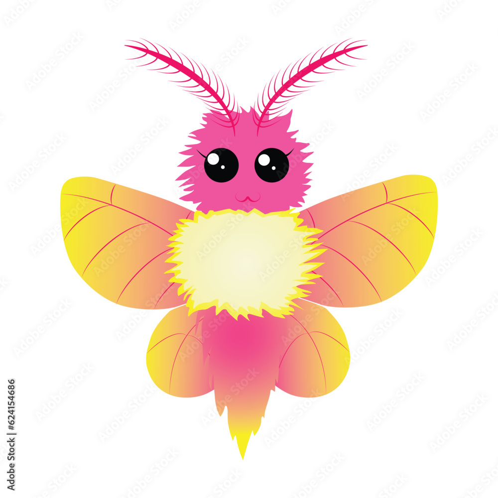 Rosy Maple Moth Cute