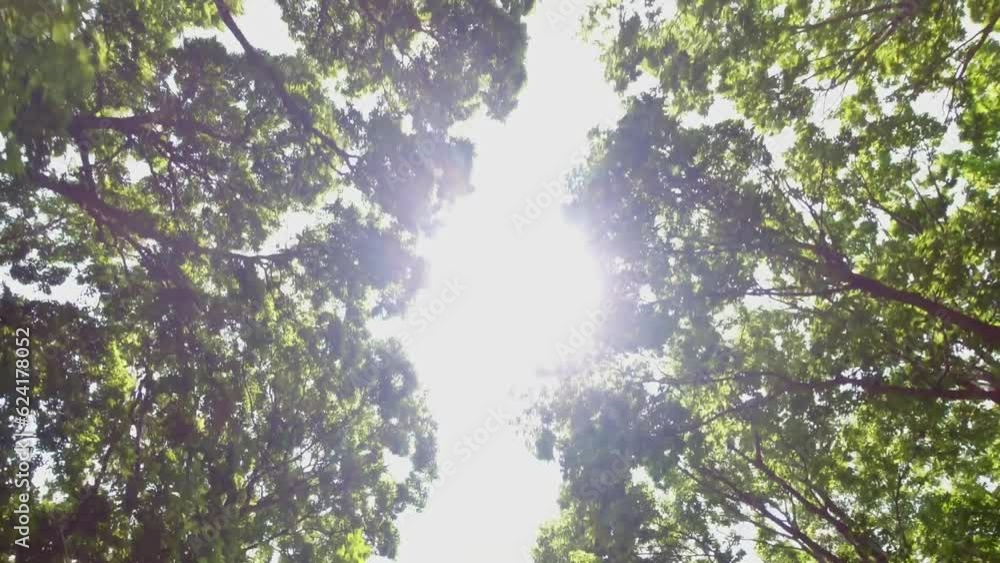 Point of view, top car view. Sunroof window driving view, POV view up ...