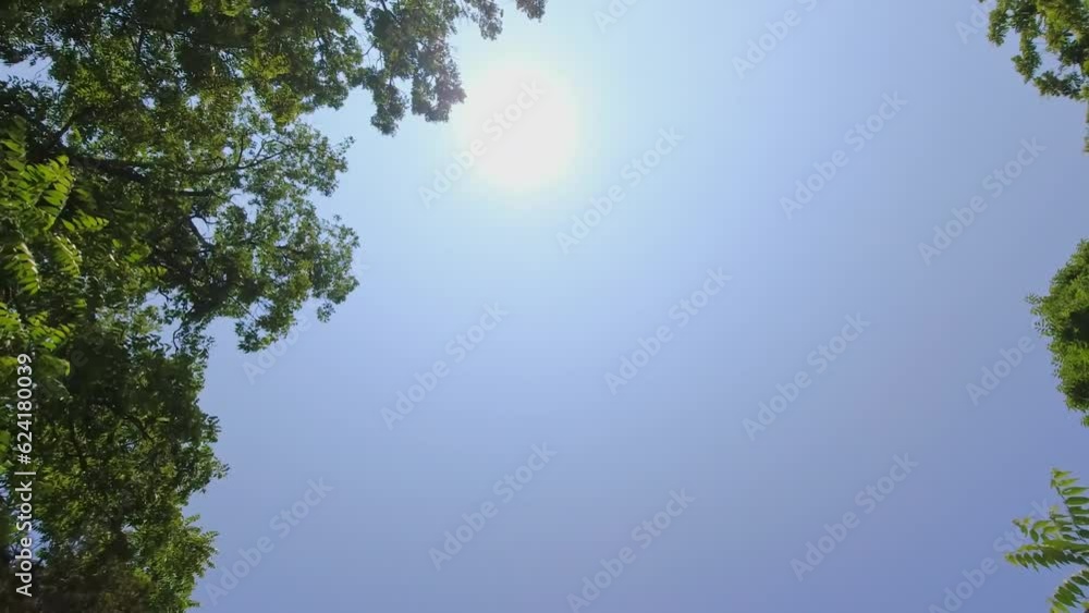 Point Pelee Drive POV. Point of view, top car view. Sunroof window ...