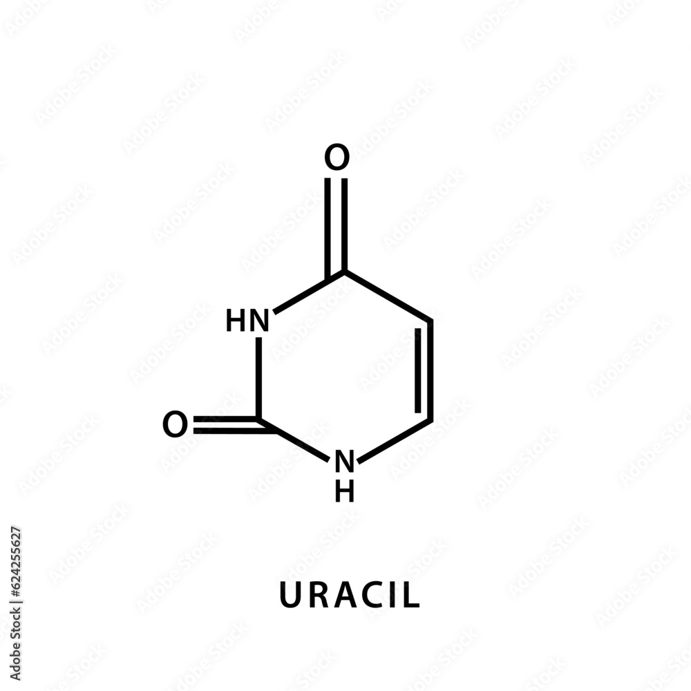 Structure chemical formula types and properties uracil Stock Vector ...