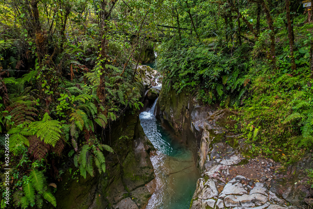 The beautiful Costa Rica Rainforest, waterfalls and blue river in the ...