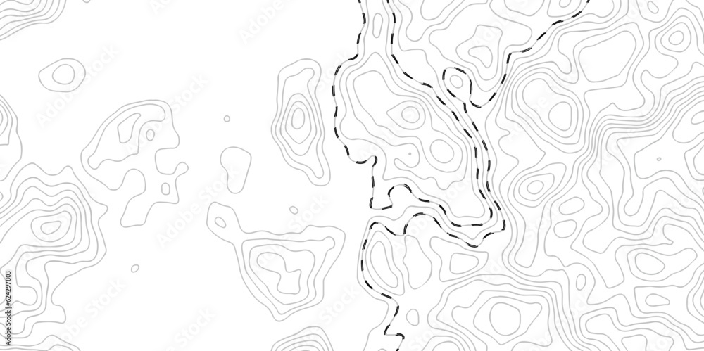 Background of the topographic map. White wave paper curved reliefs ...