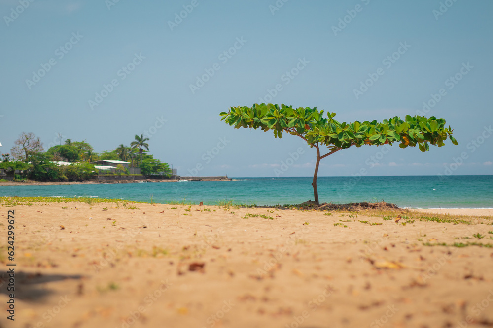 Typical beach in puerto Limon, a coastal city in Costa Rica, view of ...