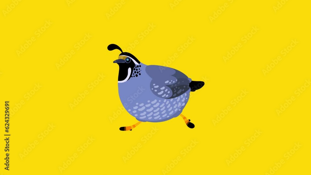 Quail bird cartoon animal animation character isolated. Blinking eyes ...