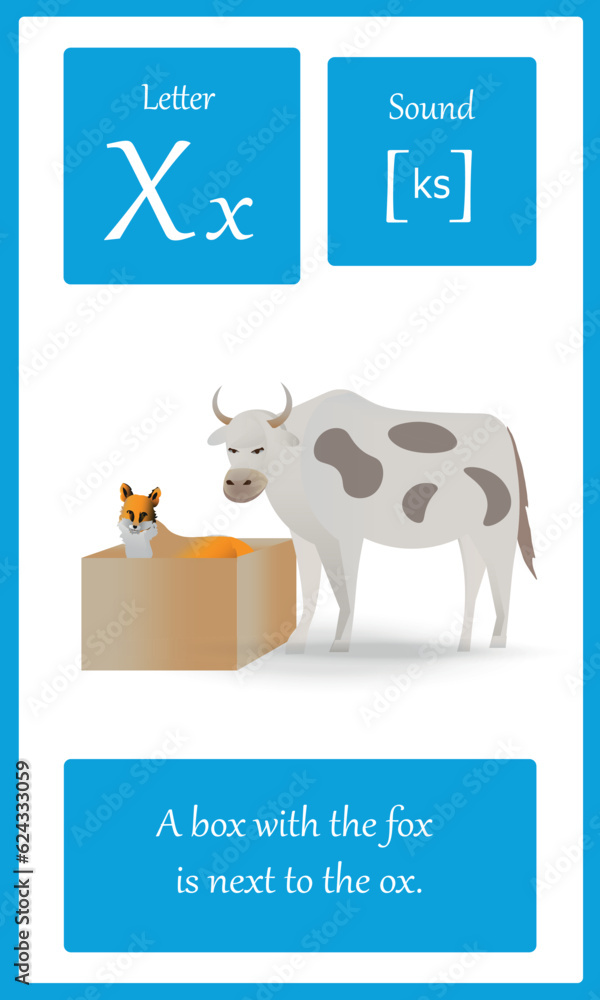 English alphabet flash card. Letter X study - ox. Kids ABC cards ...