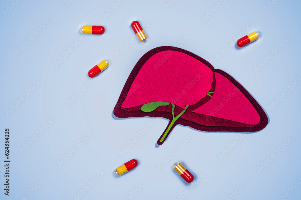 Human Liver organ and pills on blue background. World hepatitis day ...