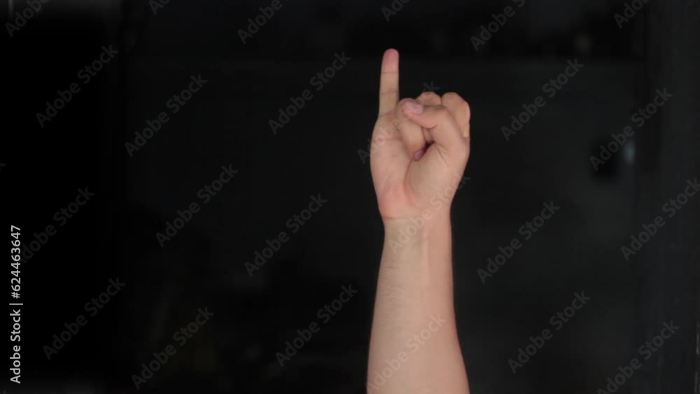 Ii alphabet American sign language video demonstration in HD, American ...