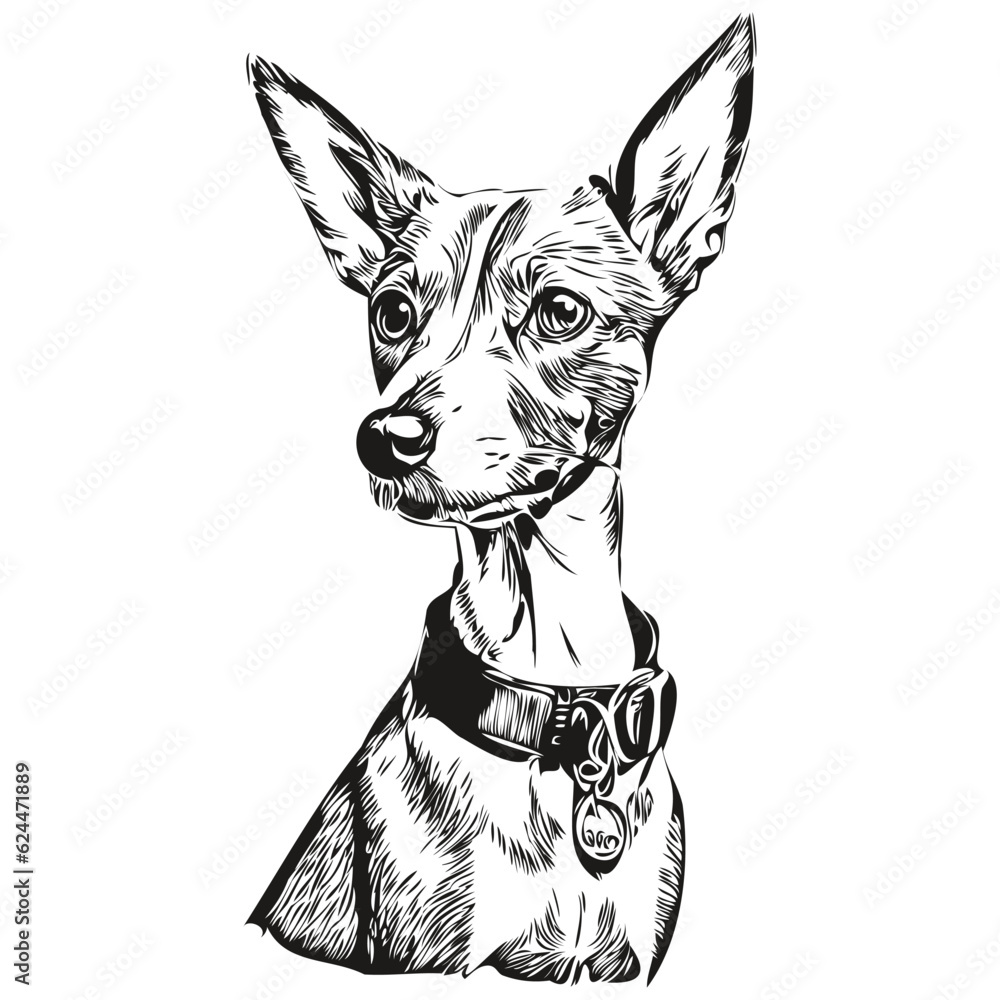 Poster Italian Greyhound dog hand drawn logo drawing black and white ...