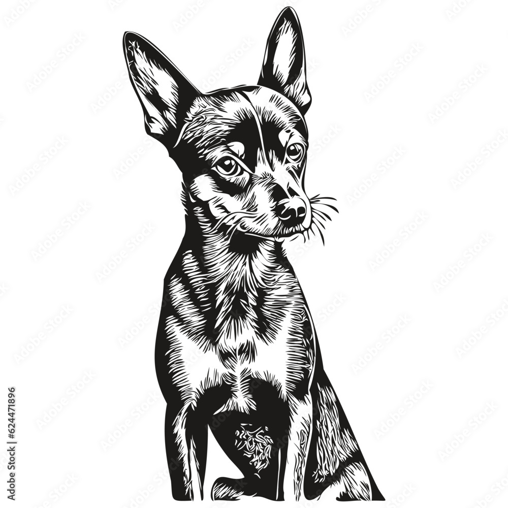 Miniature Pinscher dog logo vector black and white, vintage cute dog ...