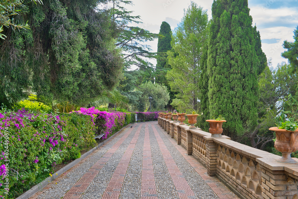 typical southern italian vegetation, olive, oleander, capsicum, fig ...
