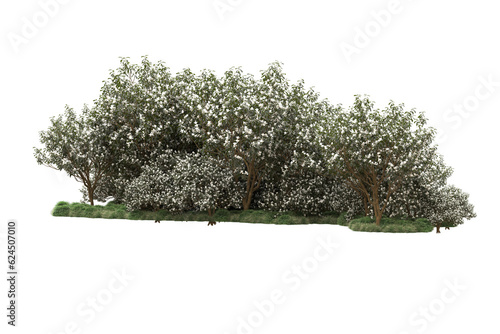 Fotolia | アドビストックのデザイン | かべいろ.com |おしゃれ壁紙リフォーム貼り替え、オリジナルインクジェット壁紙