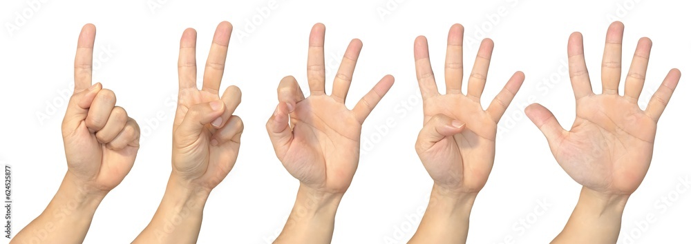Hand showing one to five on transparent background cutout, PNG file ...