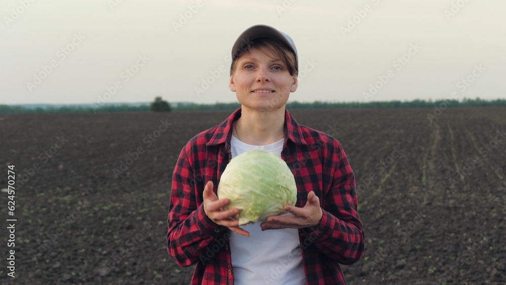 agriculture, head cabbage hands, portrait farmer smile face field ...