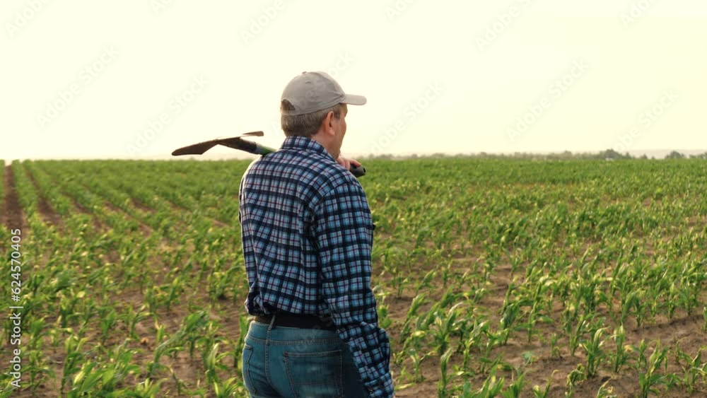 farmer shovel corn field, work field with shovel, smile face portrait ...