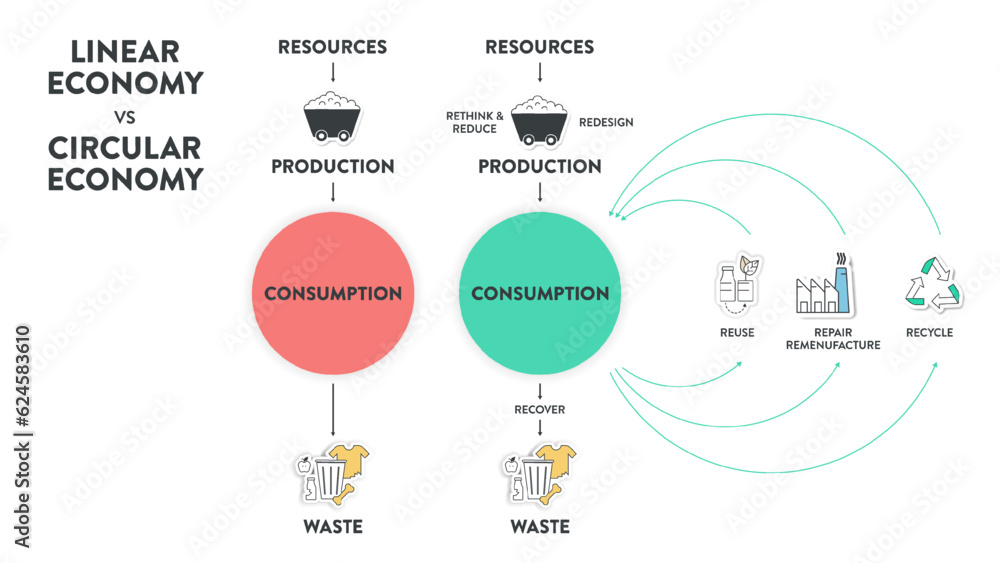 Vetor de The vector infographic diagram of the difference between the ...