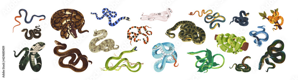 Exotic snakes set. Tropical green bush viper, serpent, cobra, wild ...