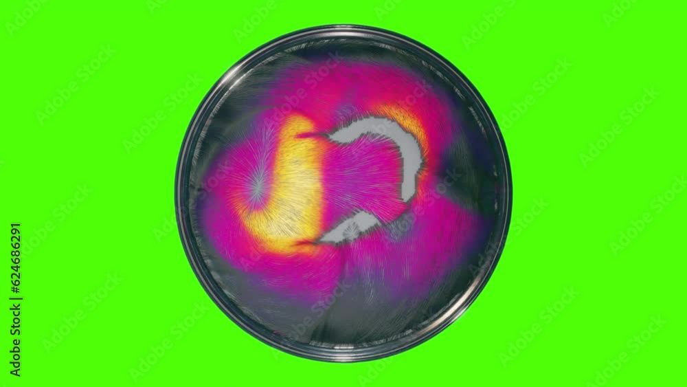 Greenscreen top view 3D render of abstract shapes flowing in Petri ...