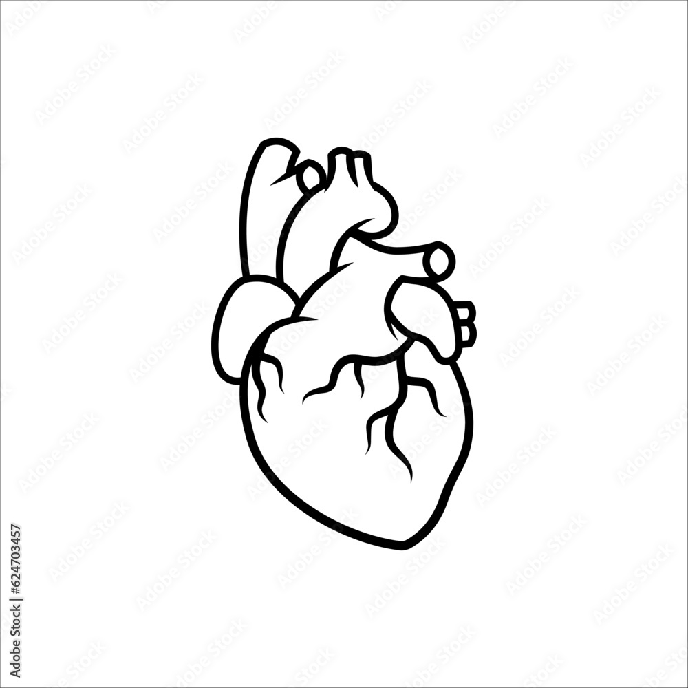 human heart vector isolated white background Stock Vector | Adobe Stock