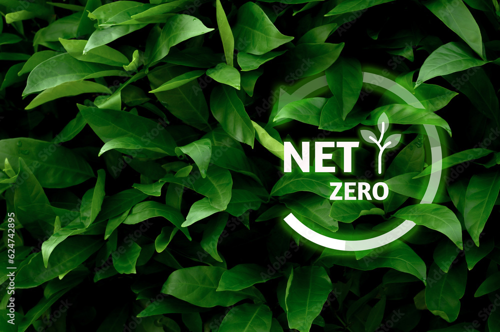 Neutral and net zero fresh air concept natural environment Climate ...
