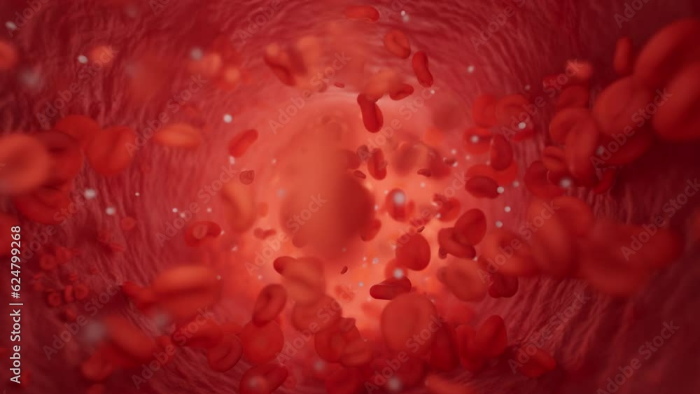Inside Blood Vessel. Blood Stream inside Artery. Erythrocytes ...
