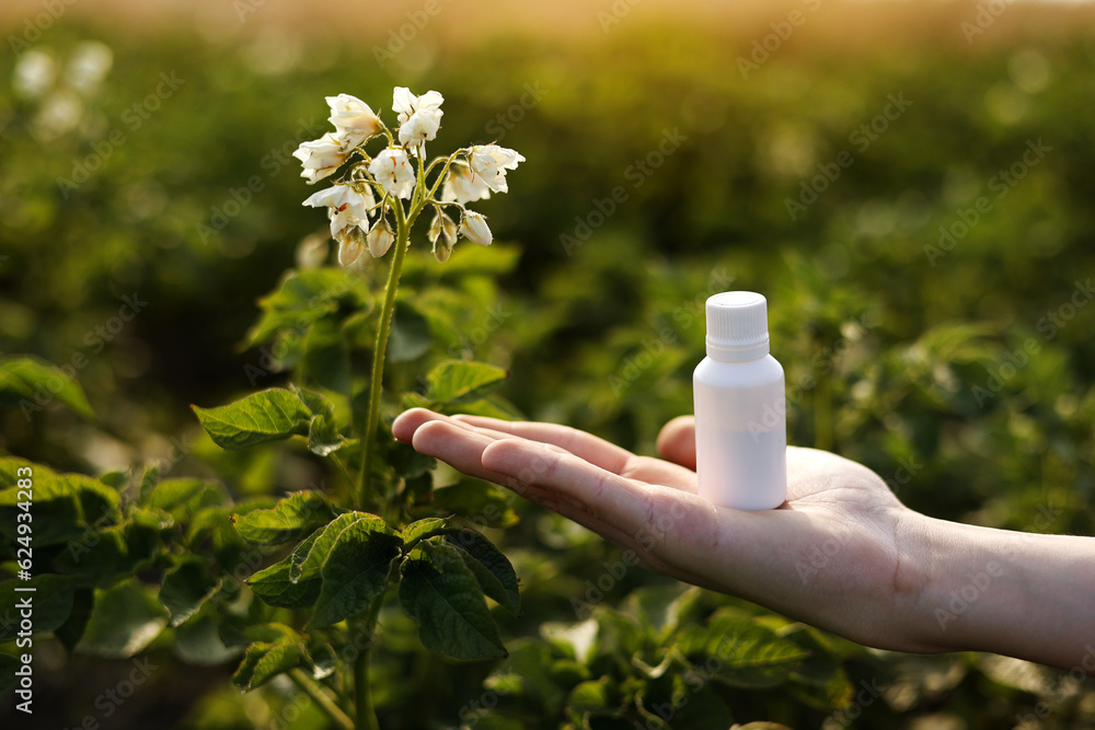 Garden season problems and solution. Cropped photo hand of farmer holds ...