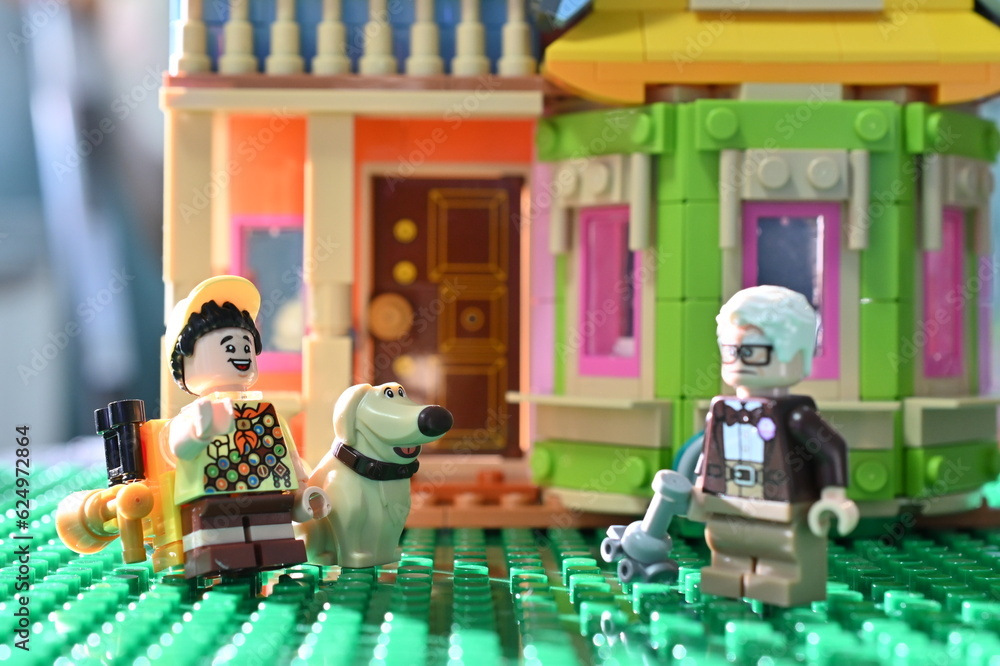Lego casa up carl fredricksen, Russell y Dug, Disney 100 Aniversario ...