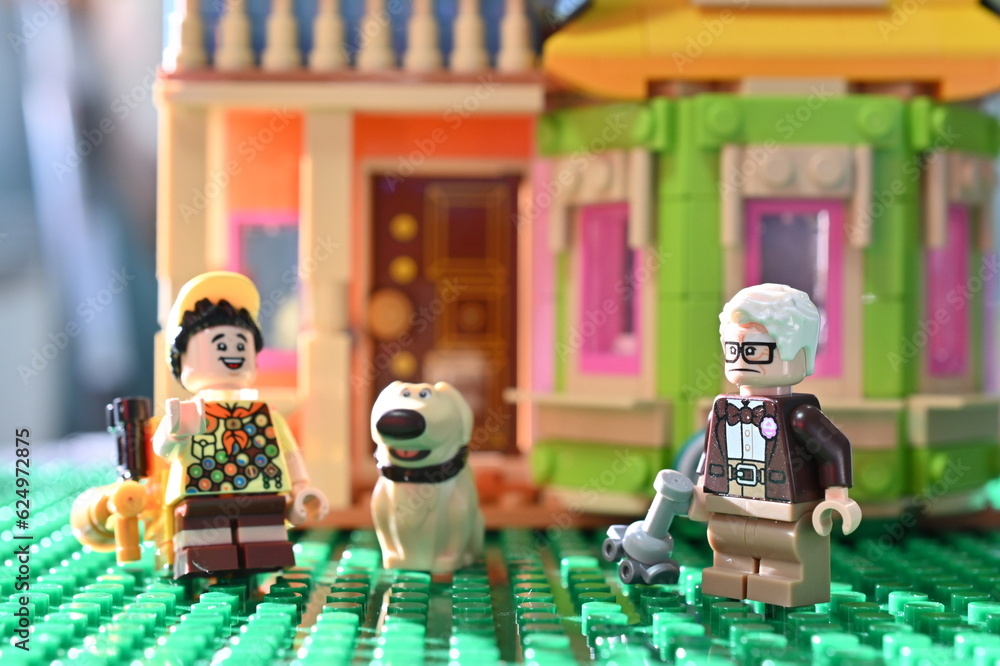 Lego casa up carl fredricksen, Russell y Dug, Disney 100 Aniversario ...
