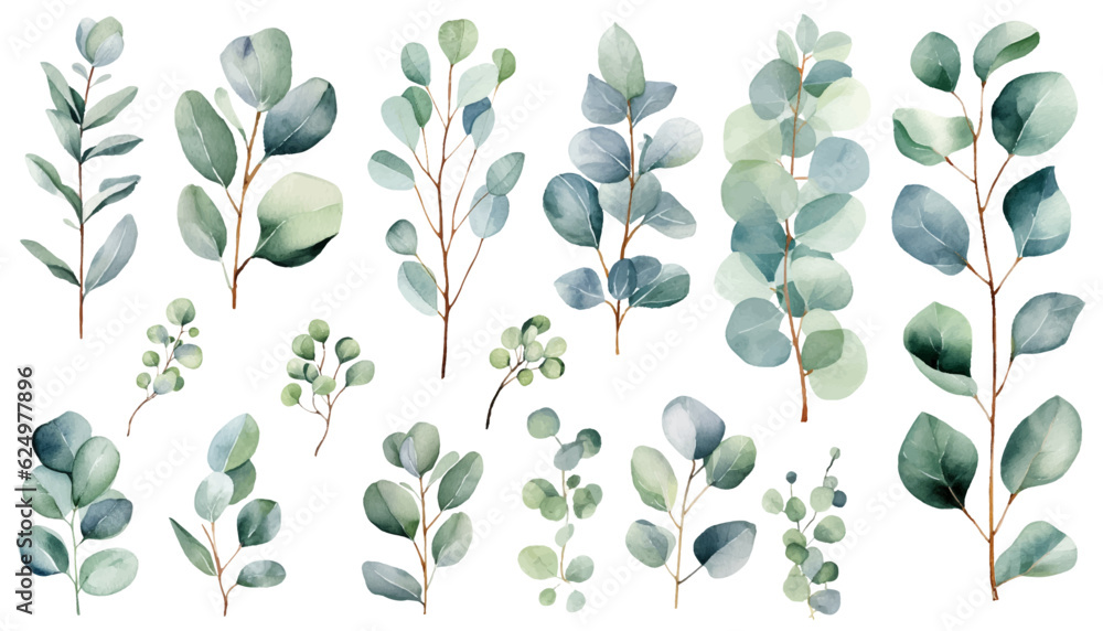 Poster Eucalyptus watercolor clipart set – Wall Art | UkPosters