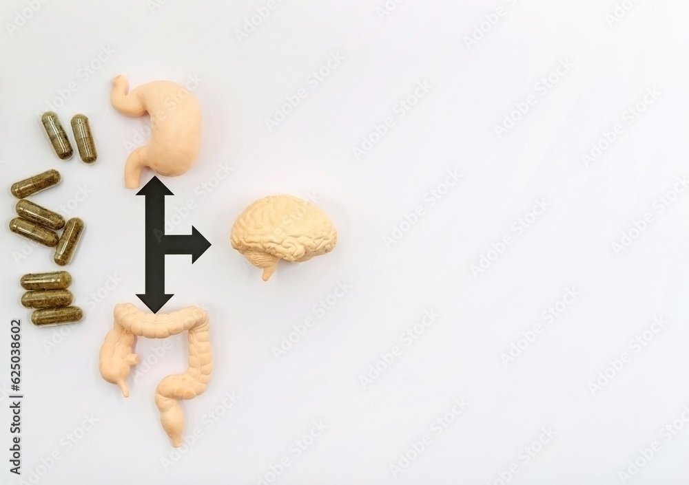 The Gut-Brain Axis. A two-way biochemical signaling that takes place ...