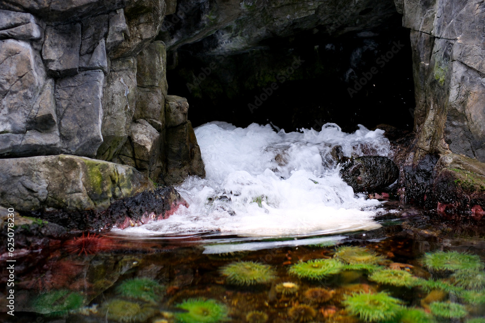 stream of water flowing from mountains Spring water flooding flood All ...