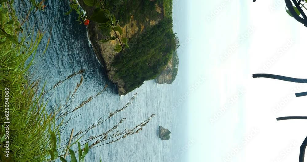 Vertical dolly forward reveal shot through a ring of branches ...