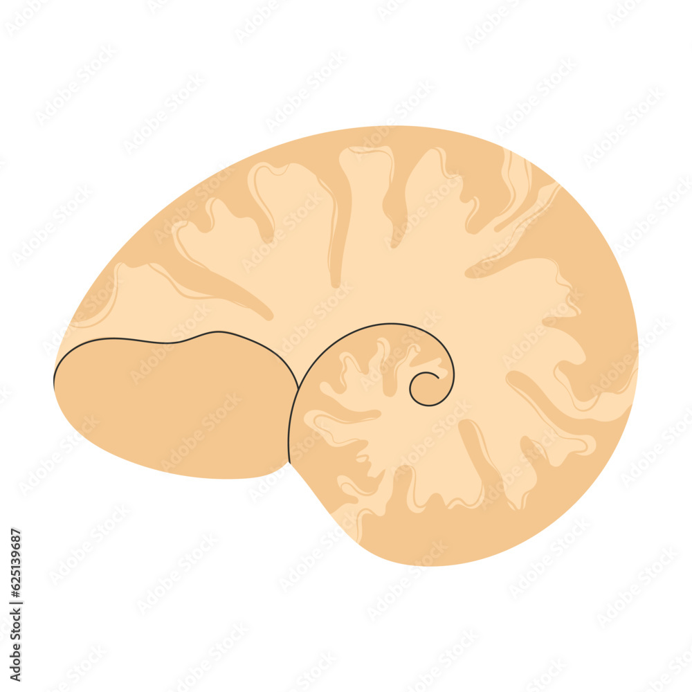 Snail seashell. Marine underwater swirled sea shell of round spiral ...